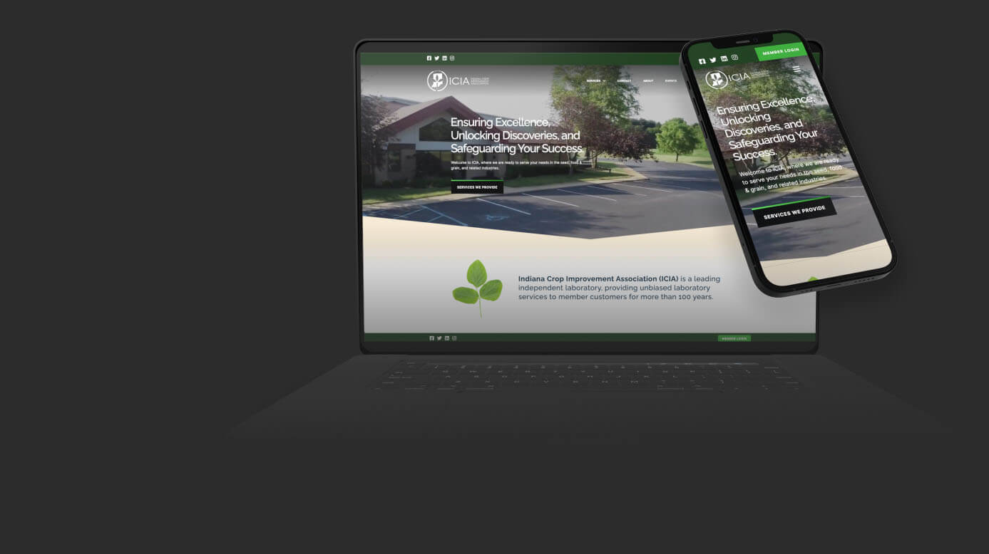 Web Design & Development Web Design & Development